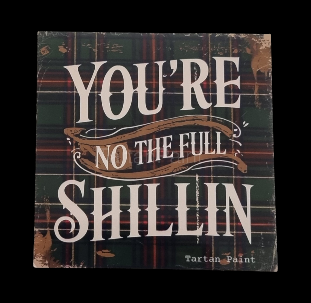 Funny Scottish Magnet – You’re No the Full Shillin’ | Tartan Paint